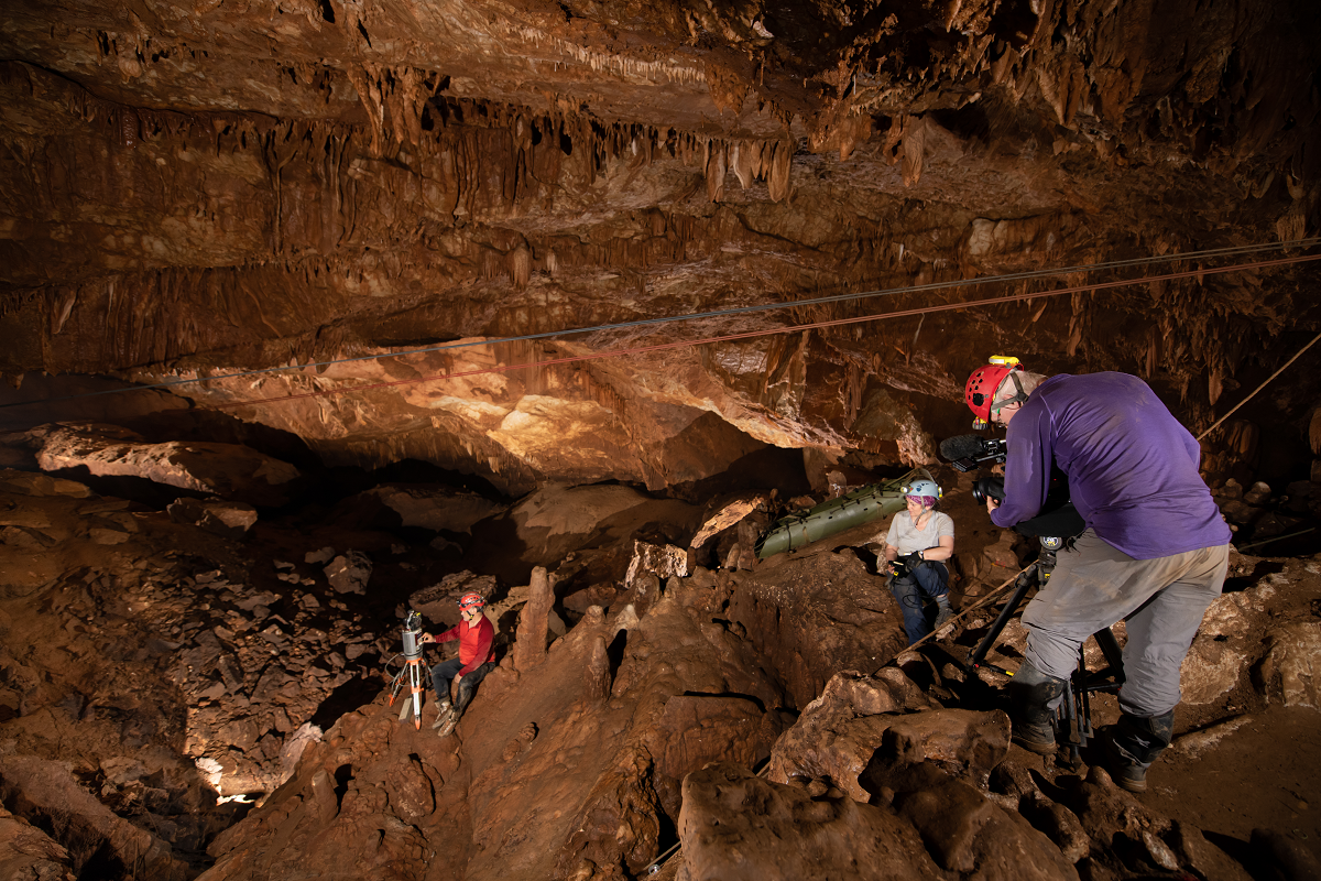 Animation Film and VFX - Commendium